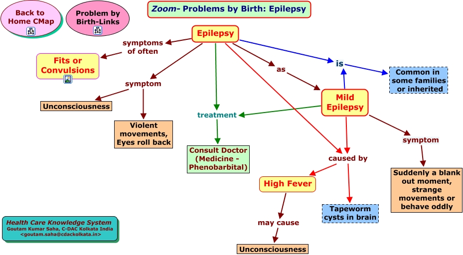 Seizure Disorder Concept Map 1000+ Images About Nursing Concept Map On